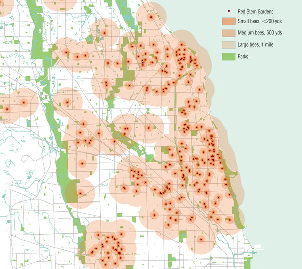 Creating Bee Habitat--The Big Picture - Red Stem Native Landscapes
