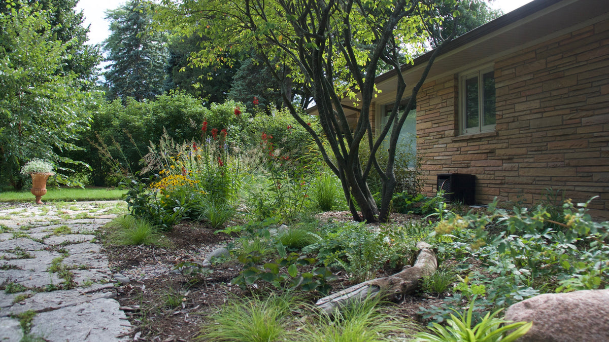 Red Stem Native Landscapes