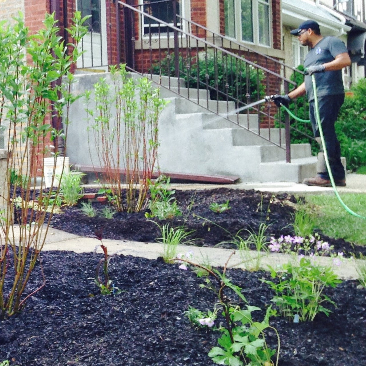 Native Landscaping Services and Design by Red Stem Native Landscapes