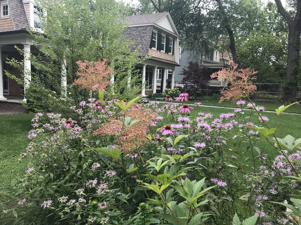 Native Landscaping Services and Design by Red Stem Native Landscapes