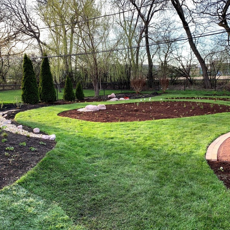 Natural Landscaping and Design | Case Study - Red Stem Native Landscapes