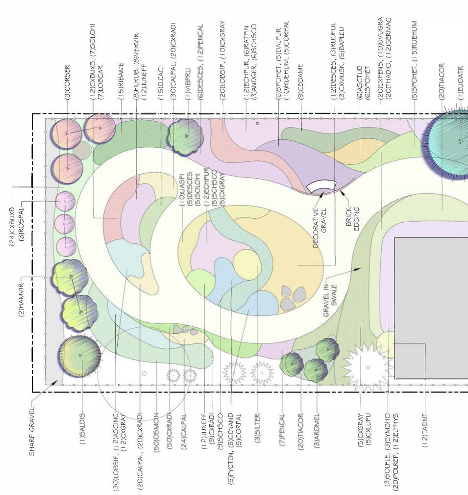 Natural Landscaping and Design | Case Study - Red Stem Native Landscapes