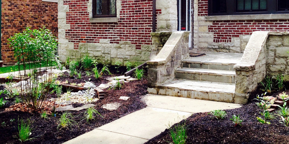 Native Landscaping Services and Design by Red Stem Native Landscapes