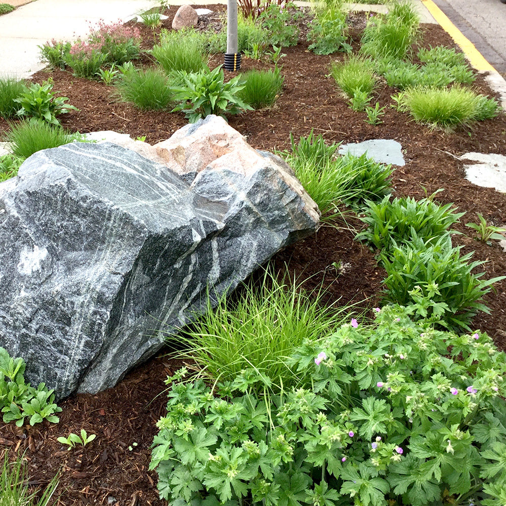 Native Landscape Design in Chicago | Red Stem Native Landscapes