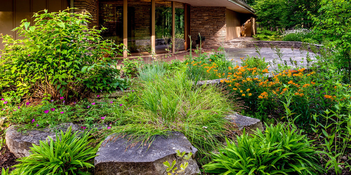 Native Landscape Design in Chicago | Red Stem Native Landscapes